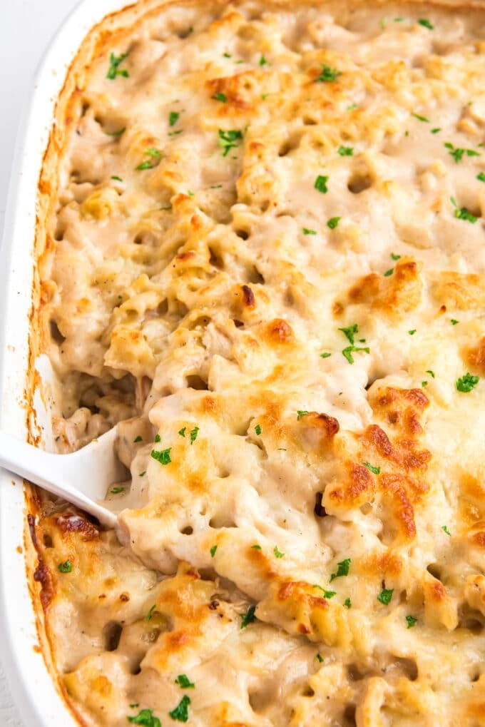 Easy Chicken Alfredo Bake – Deliciously Sprinkled
