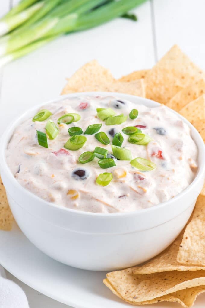 Rotel Dip with Cream Cheese – Deliciously Sprinkled